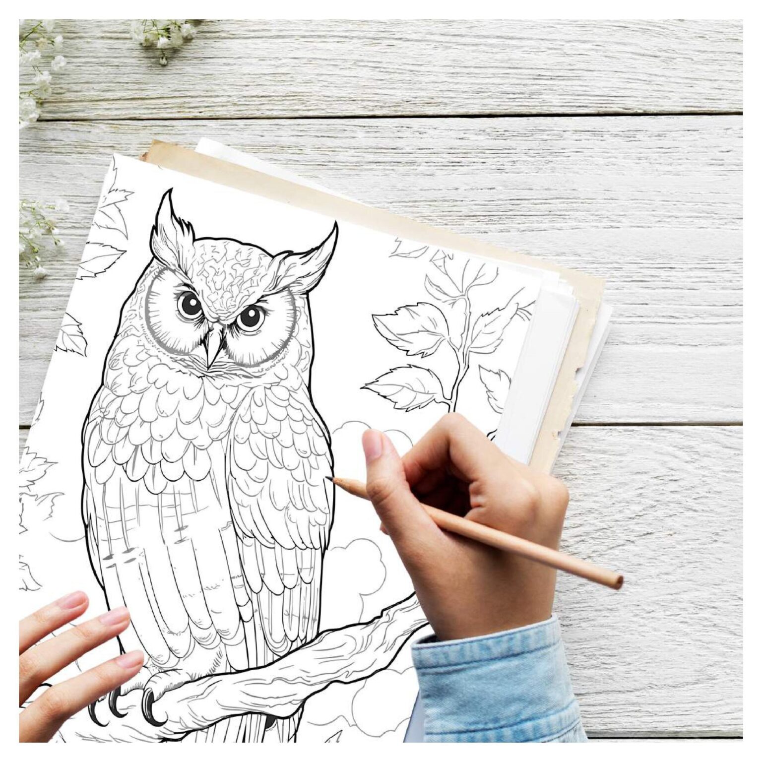 Wise Owl Coloring Pages For Kids | Free Printable Sheets