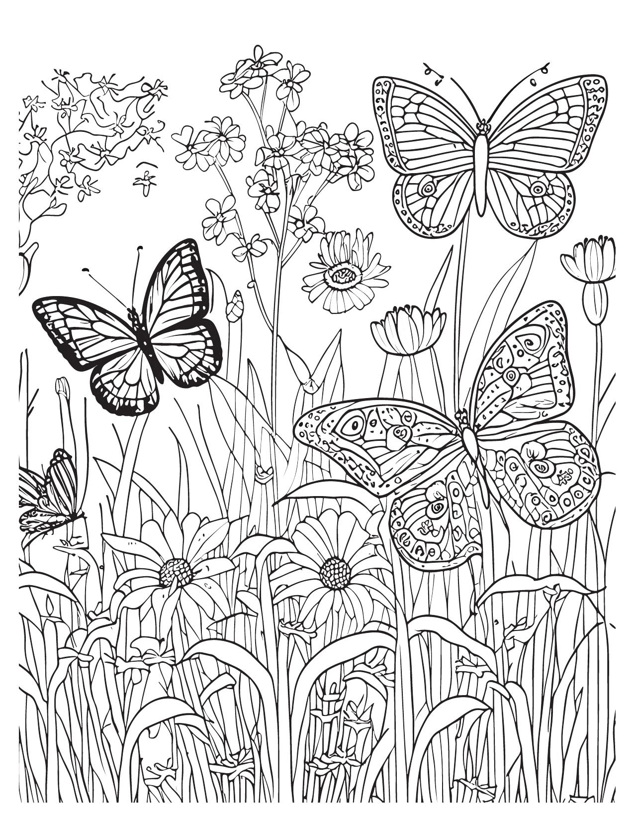 Beautiful Butterfly Garden Coloring Pages