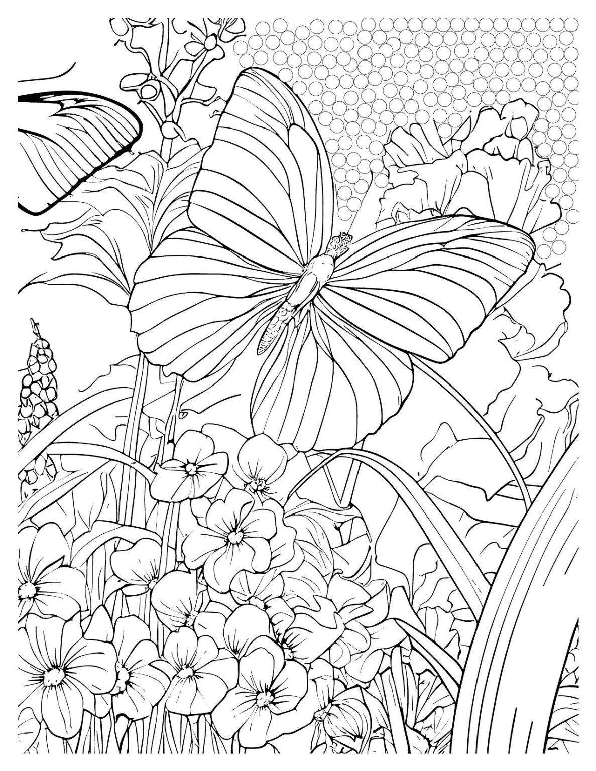 Beautiful Butterfly Garden Coloring Pages