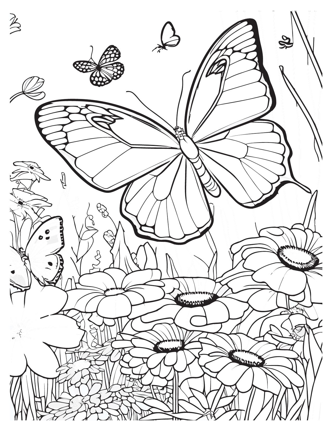 Beautiful Butterfly Garden Coloring Pages