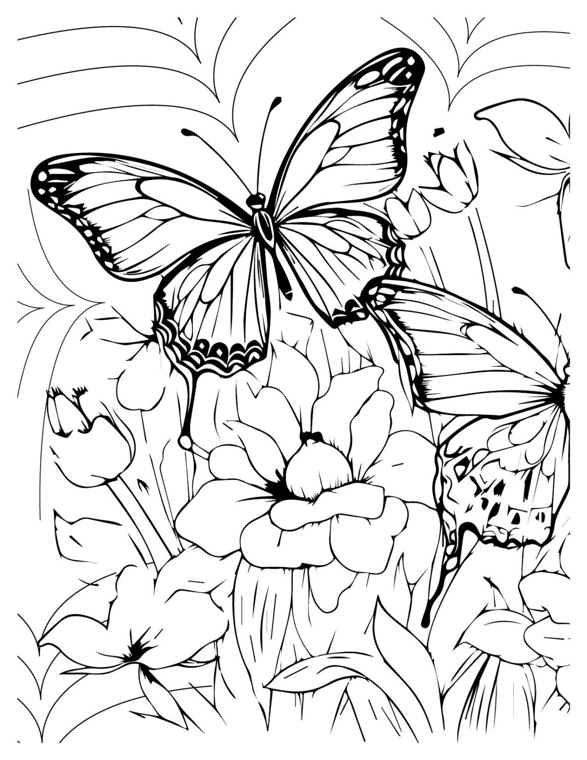 Beautiful Butterfly Garden Coloring Pages