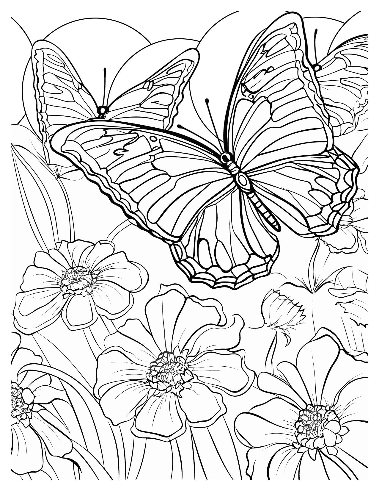 Beautiful Butterfly Garden Coloring Pages