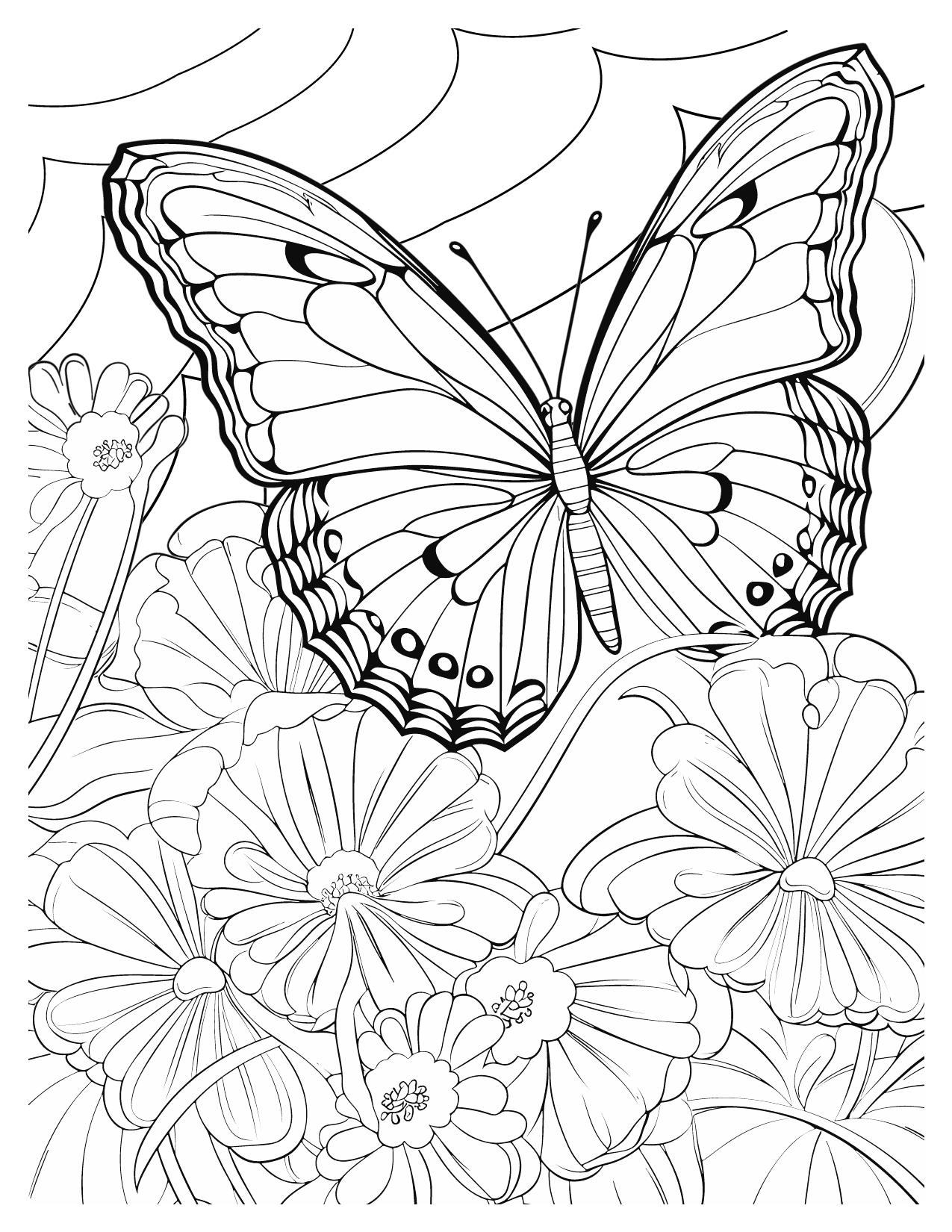 Beautiful Butterfly Garden Coloring Pages