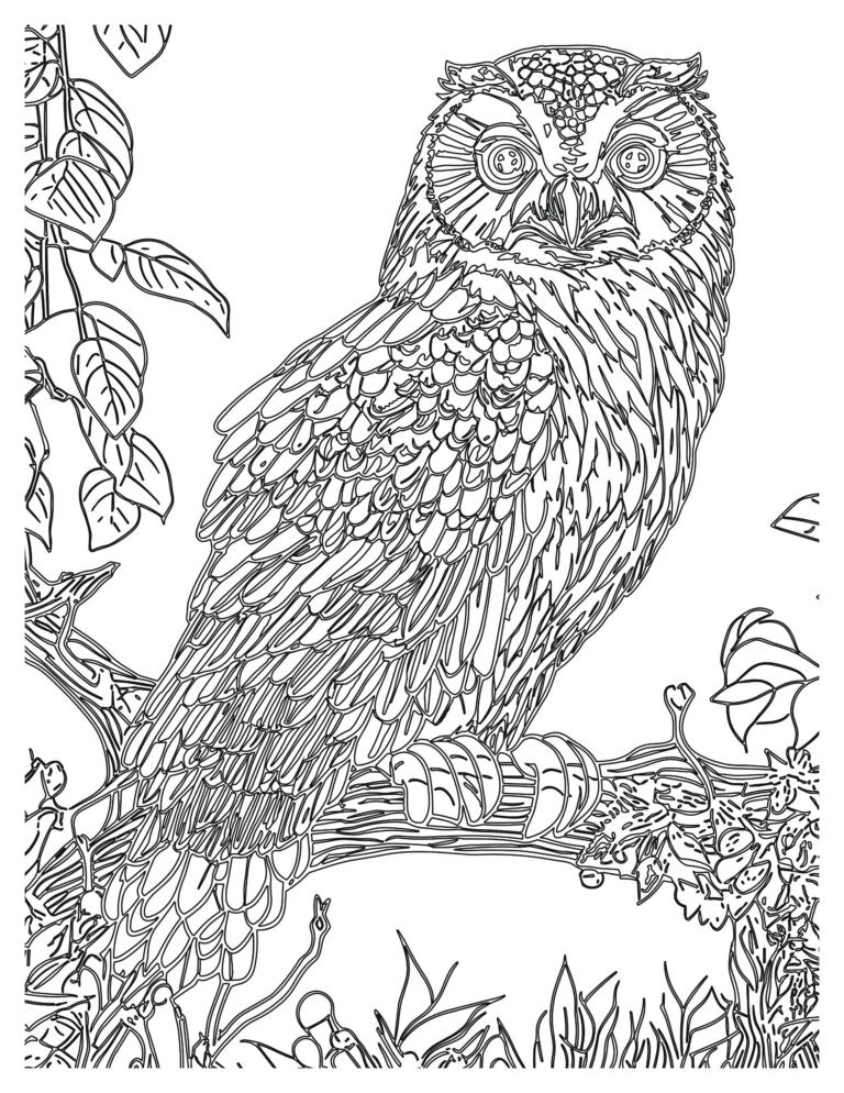 Wise Owl Coloring Pages For Kids | Free Printable Sheets