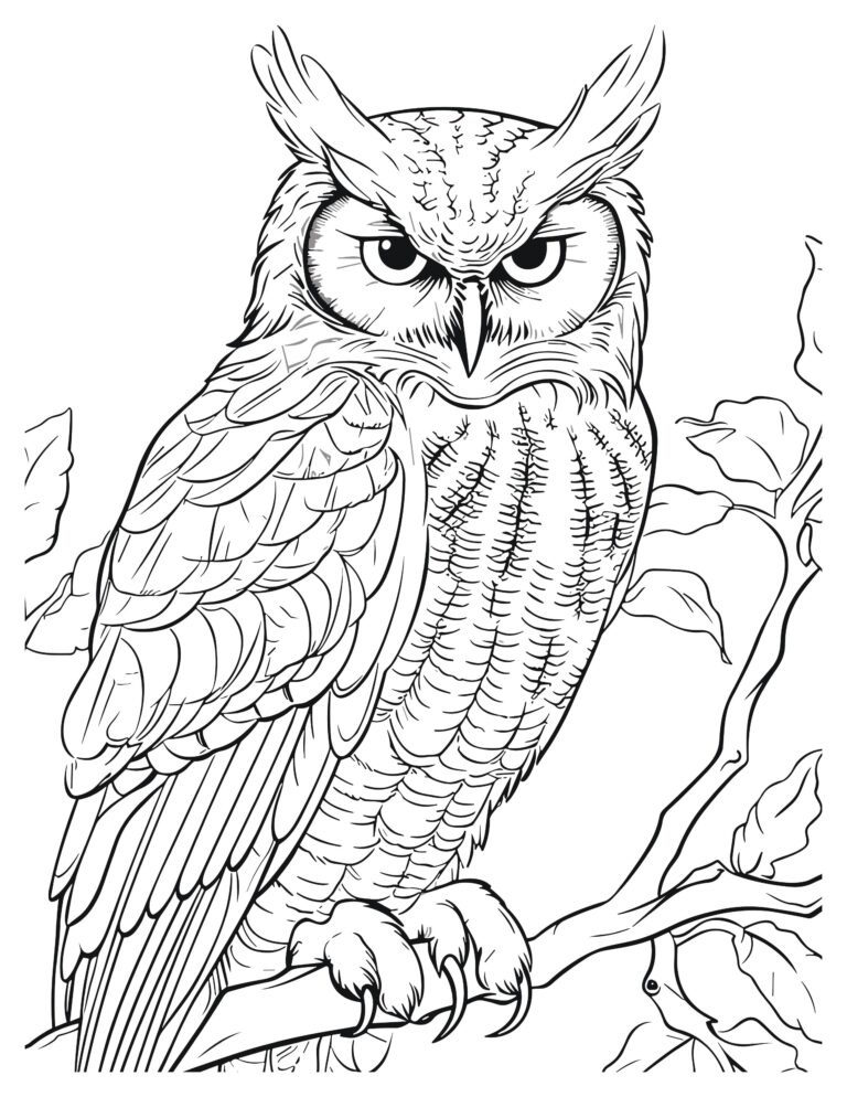 Wise Owl Coloring Pages For Kids | Free Printable Sheets