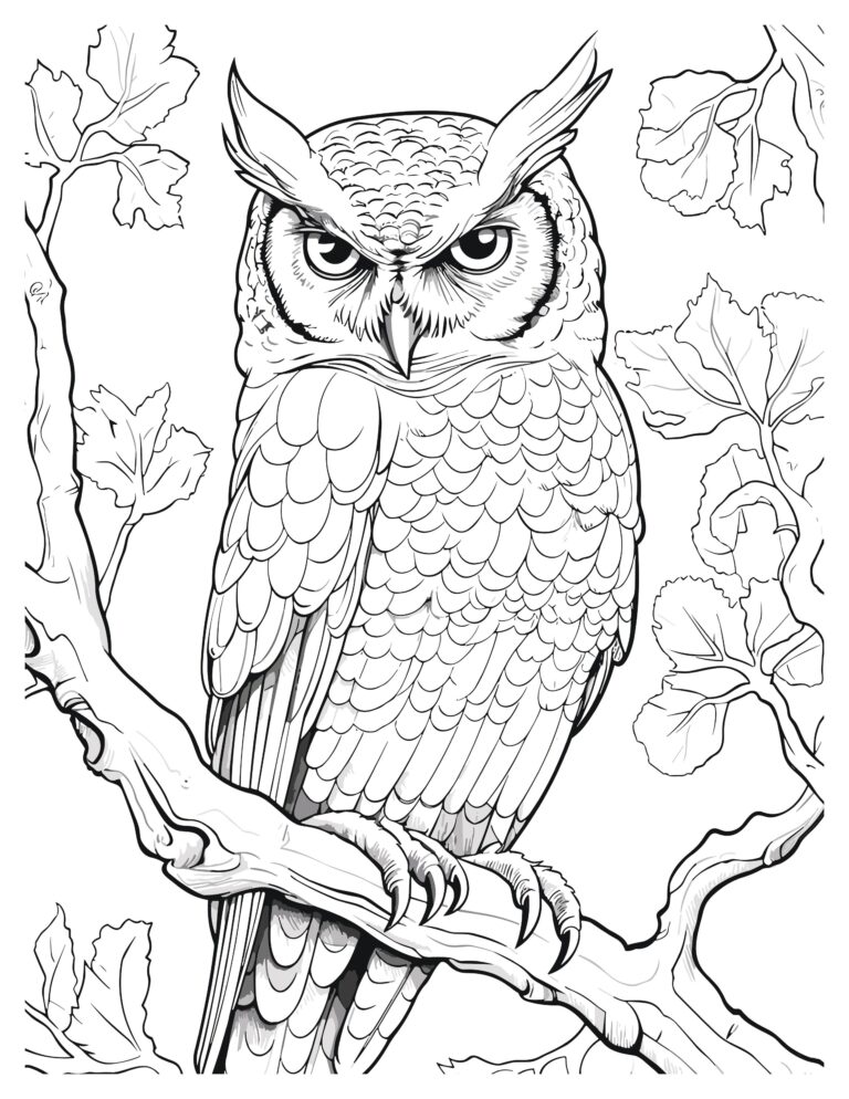 Wise Owl Coloring Pages For Kids | Free Printable Sheets