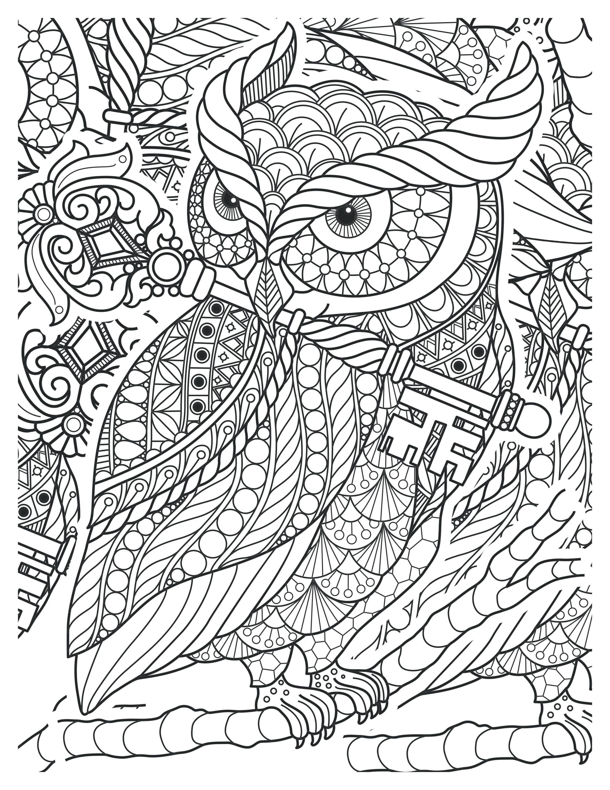 Wise Owl Coloring Pages For Kids | Free Printable Sheets