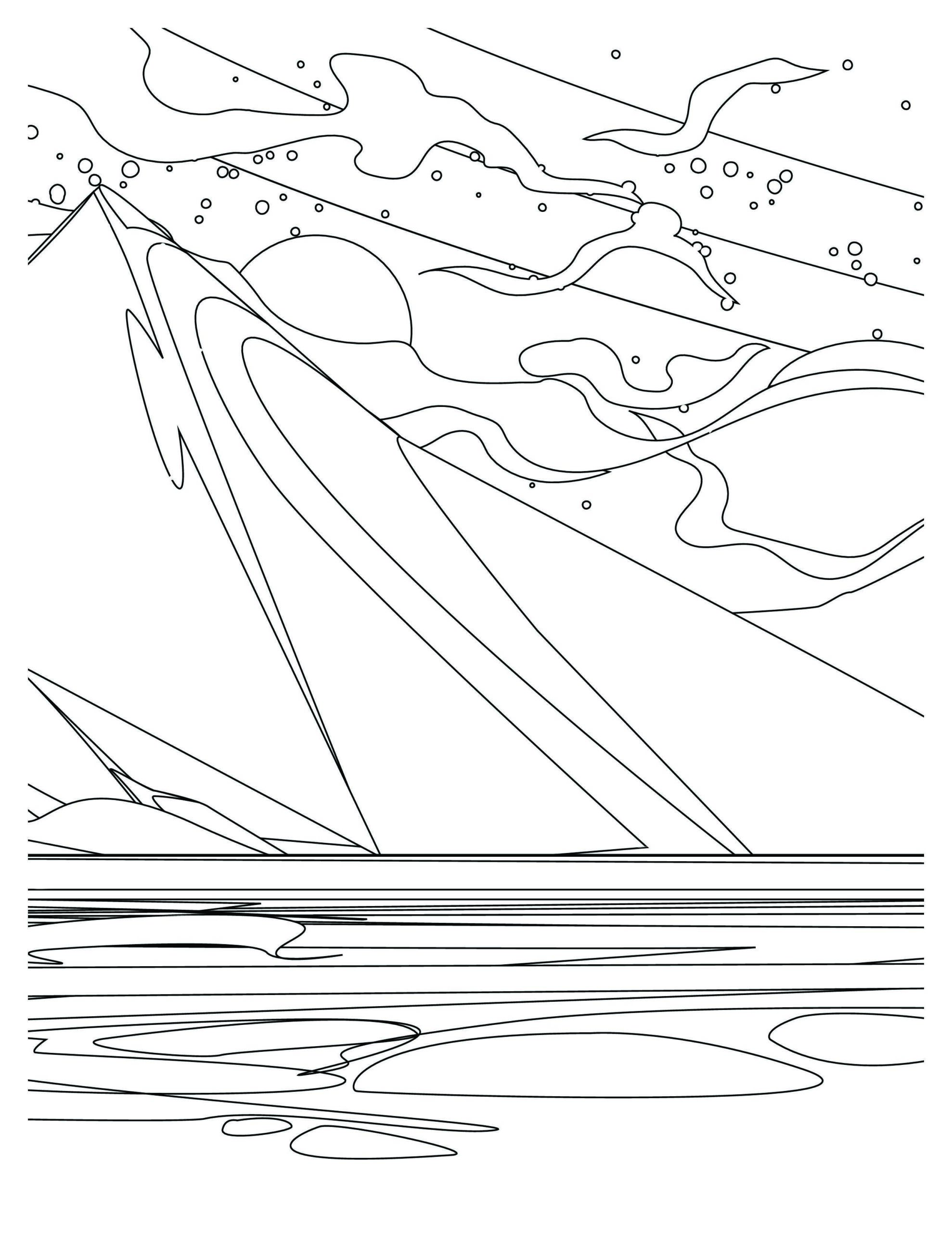 "Aurora Borealis Coloring Pages | Explore Nature's Beauty"