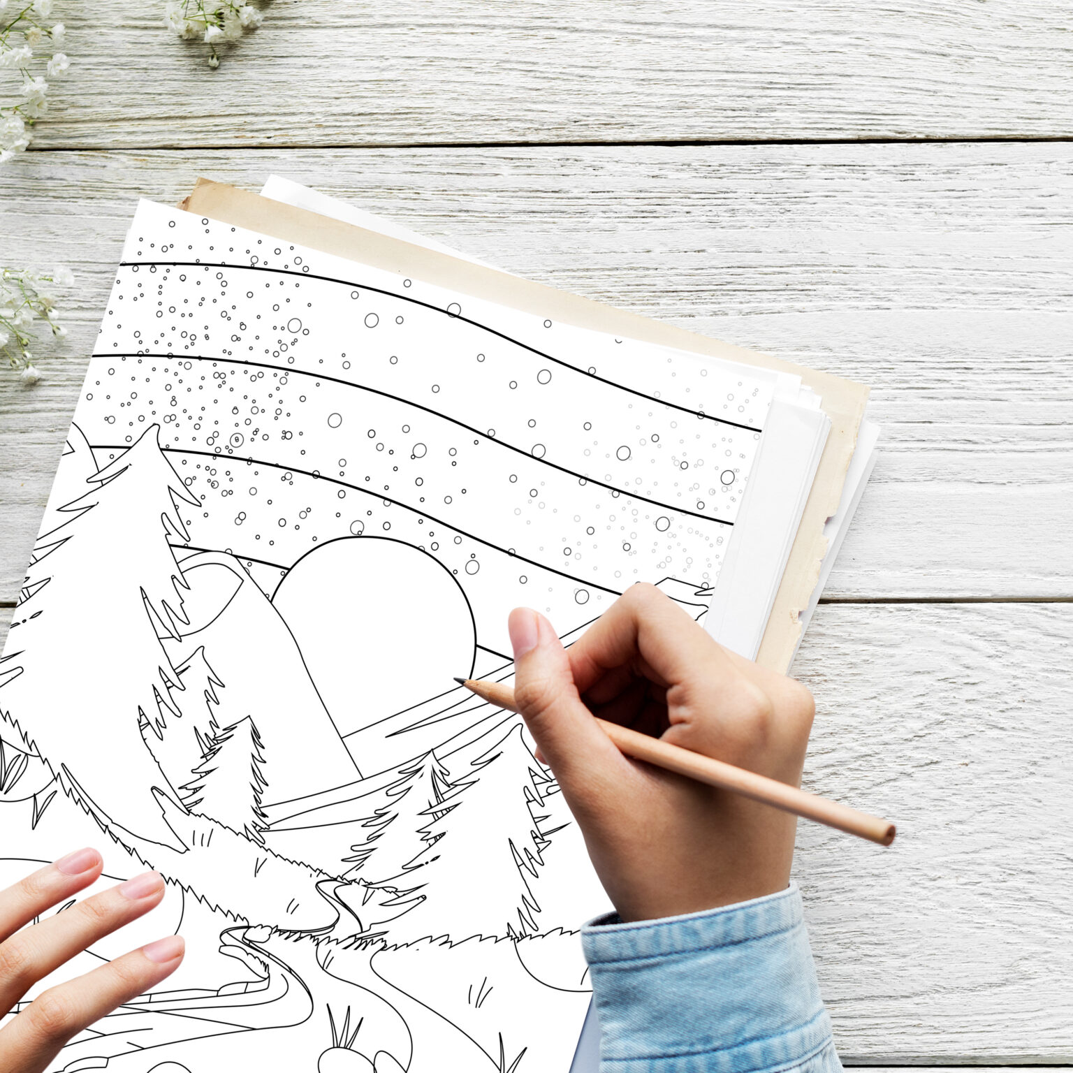 "Aurora Borealis Coloring Pages | Explore Nature's Beauty"