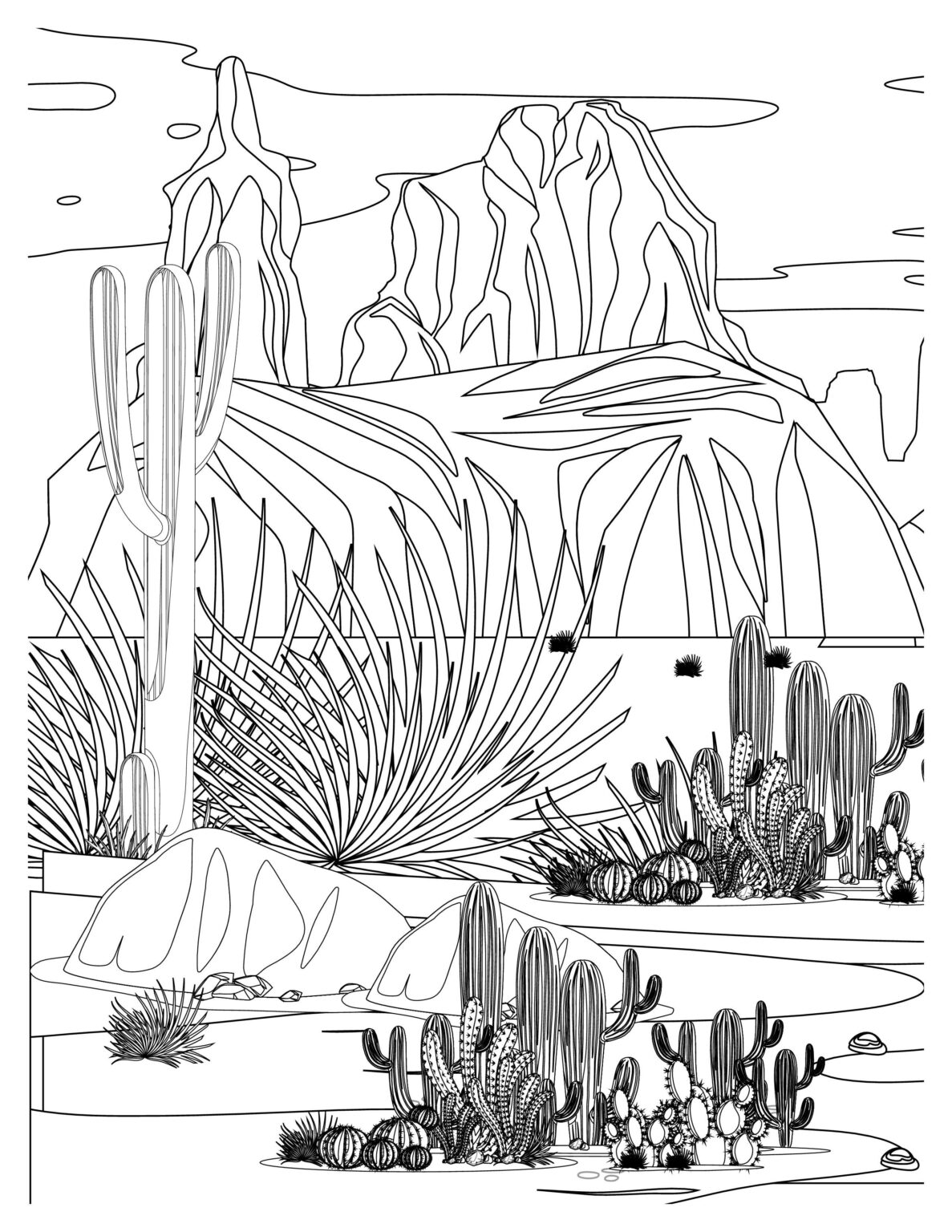 Cactus Oasis Coloring Pages: Desert-Inspired Fun!