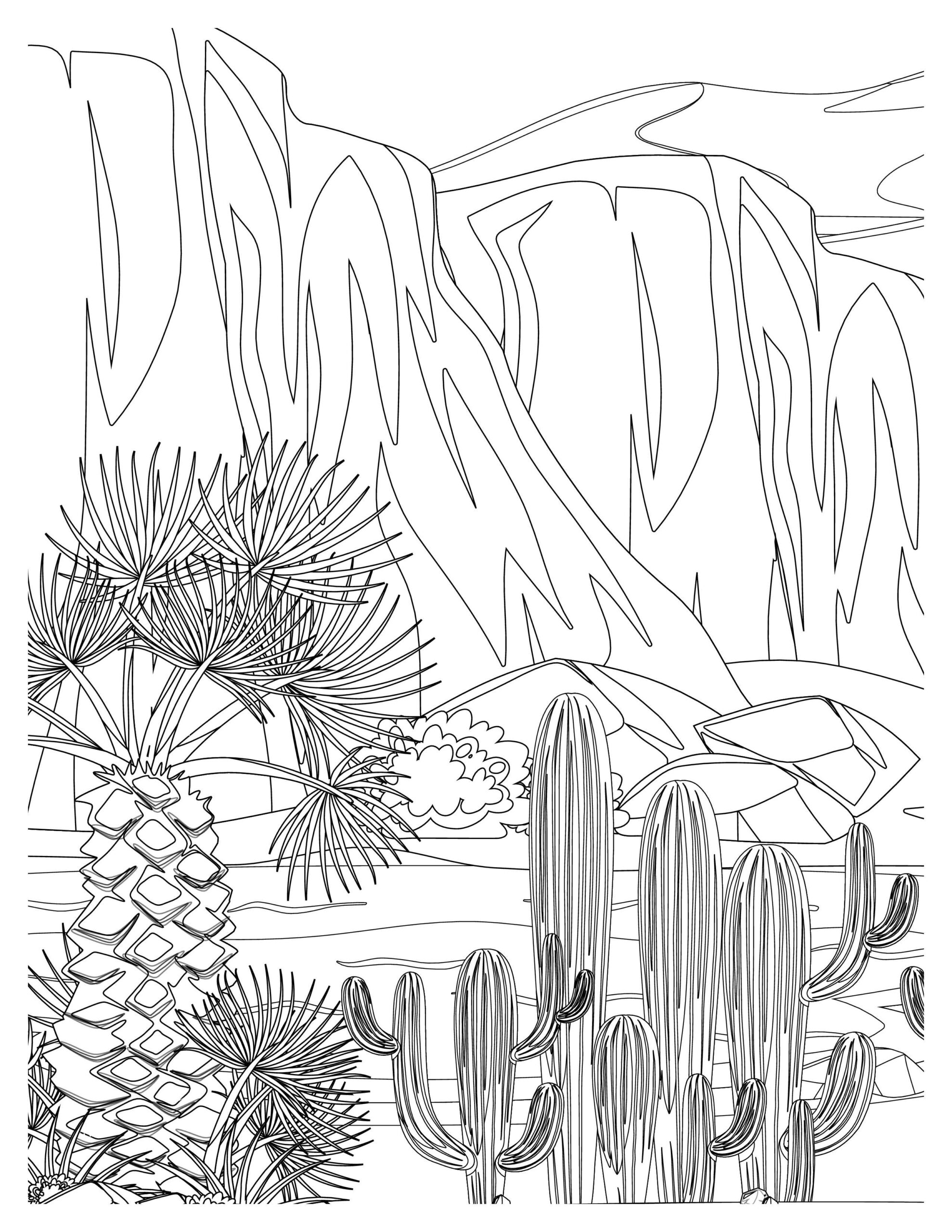 Cactus Oasis Coloring Pages: Desert-Inspired Fun!