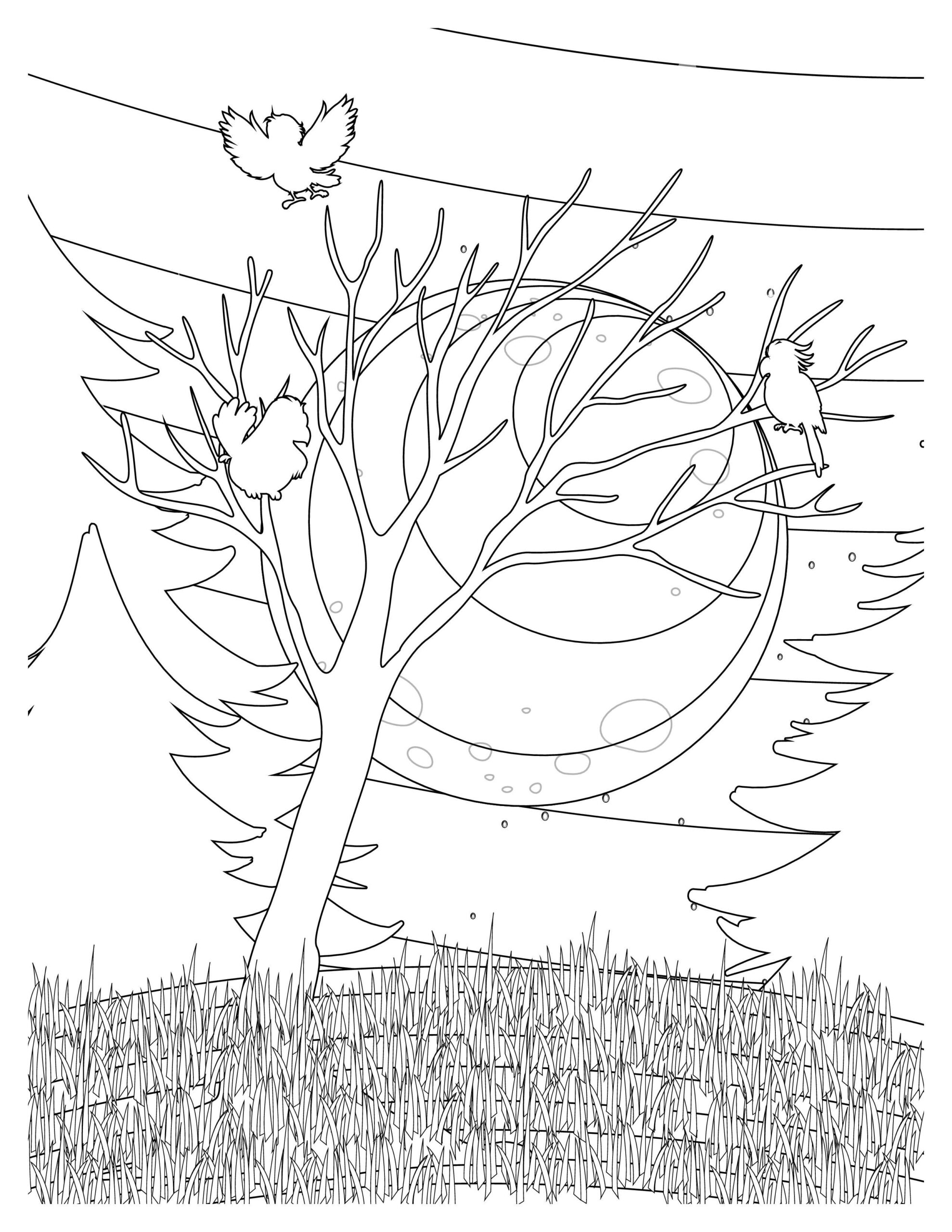 Moonlight Enchantment Coloring Pages: Magical Nightscapes