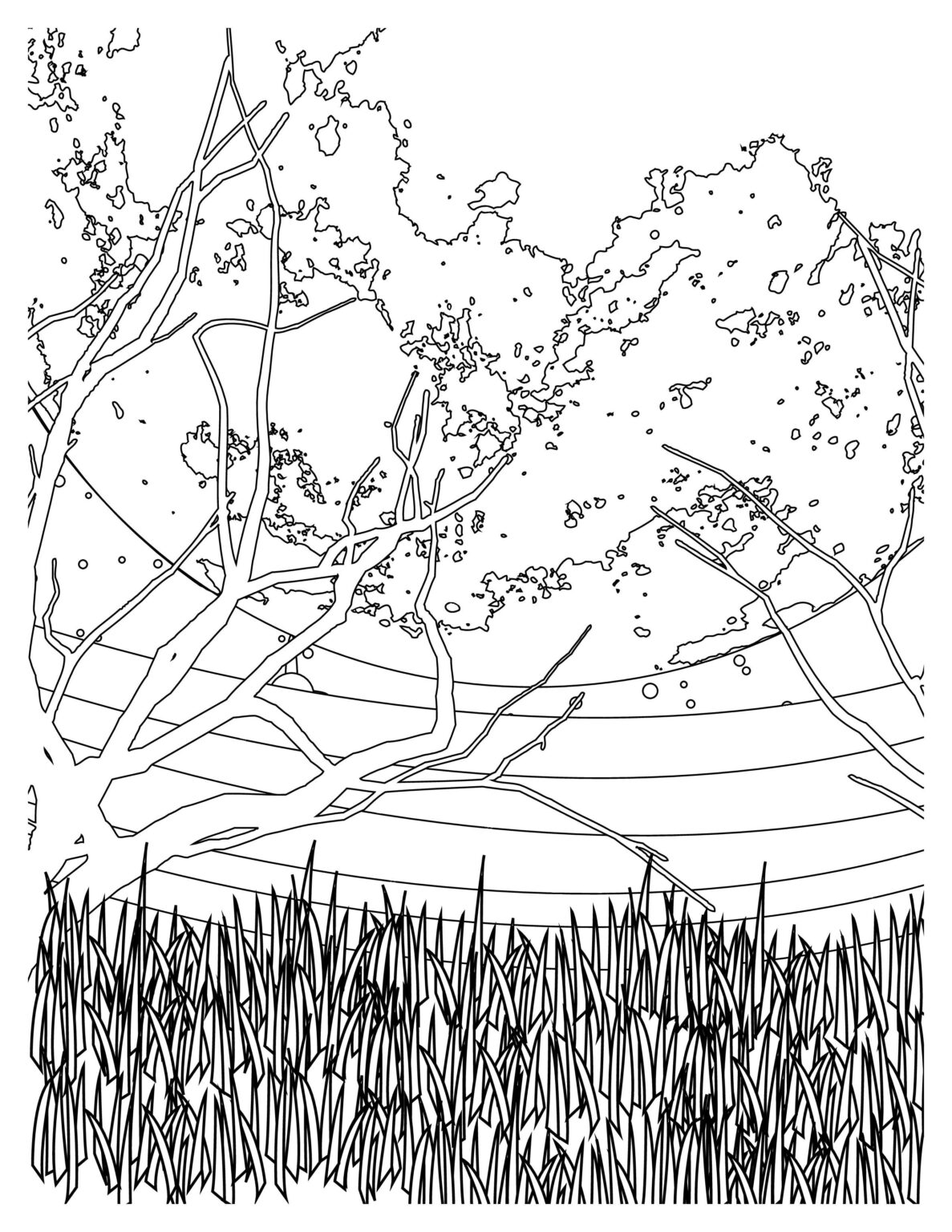 Moonlight Enchantment Coloring Pages: Magical Nightscapes