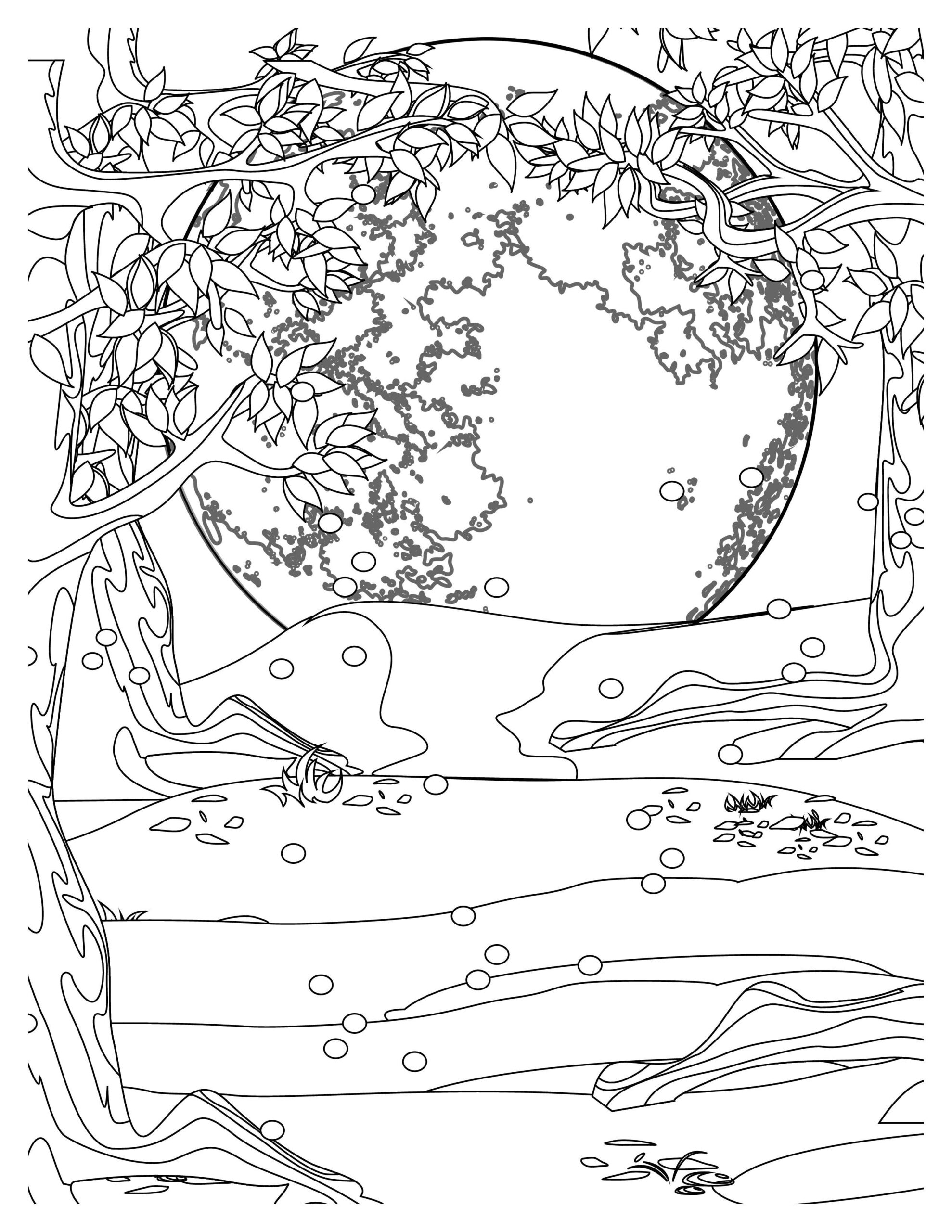 Moonlight Enchantment Coloring Pages: Magical Nightscapes
