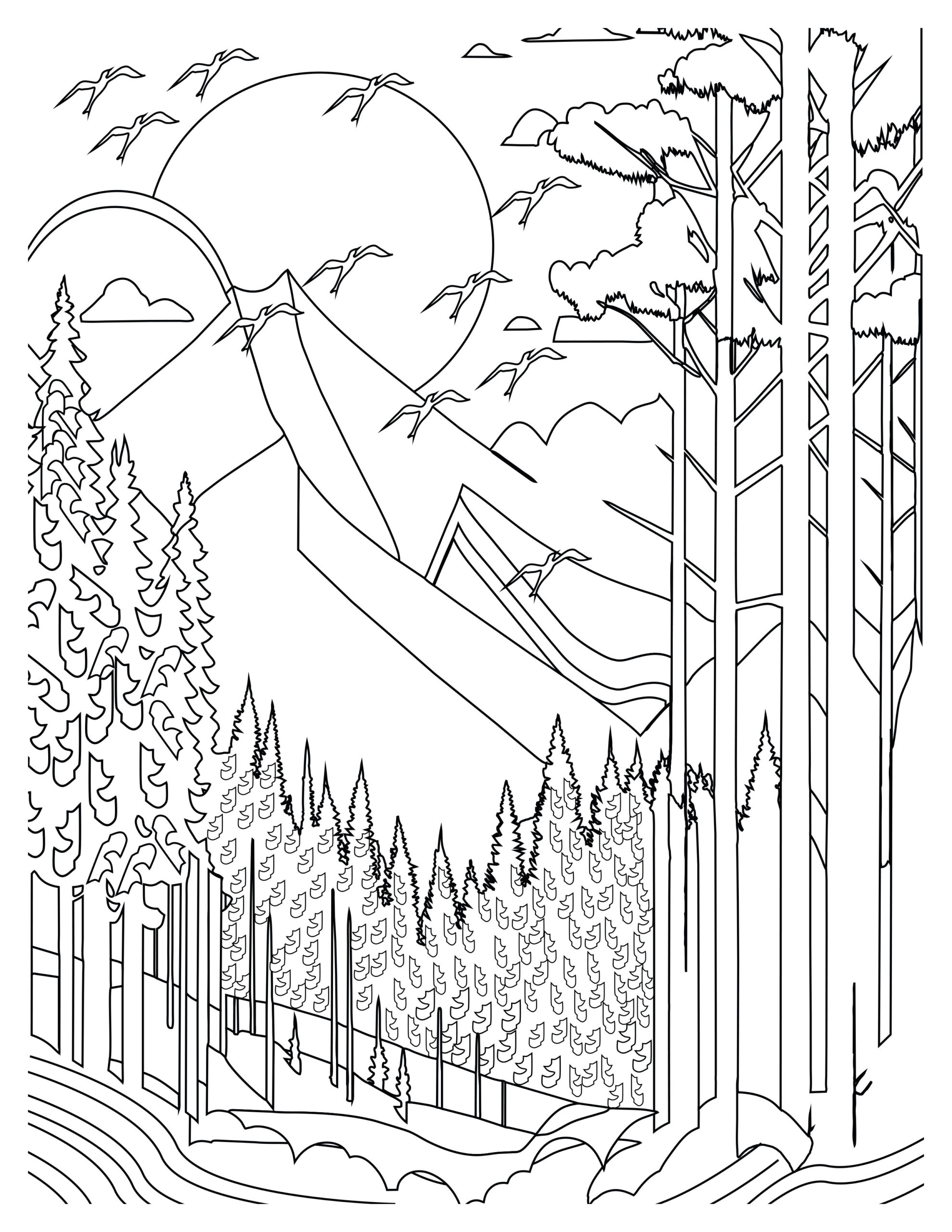Serene Sunrise Coloring Pages: Relaxing Morning Scenes