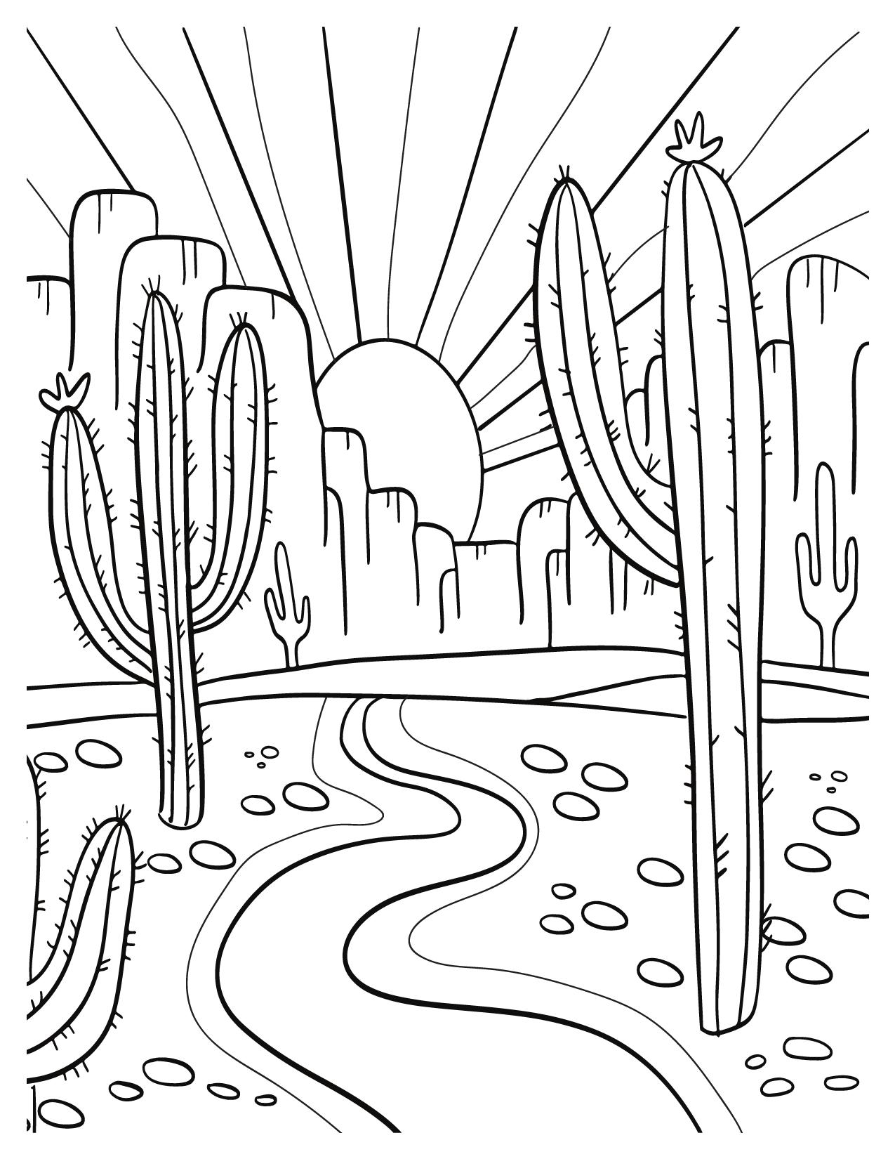 "Desert Landscape Coloring Pages | Dive into Arid Beauty!"