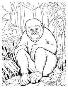 Zoo Adventures Coloring Pages | Dive Into Fun!