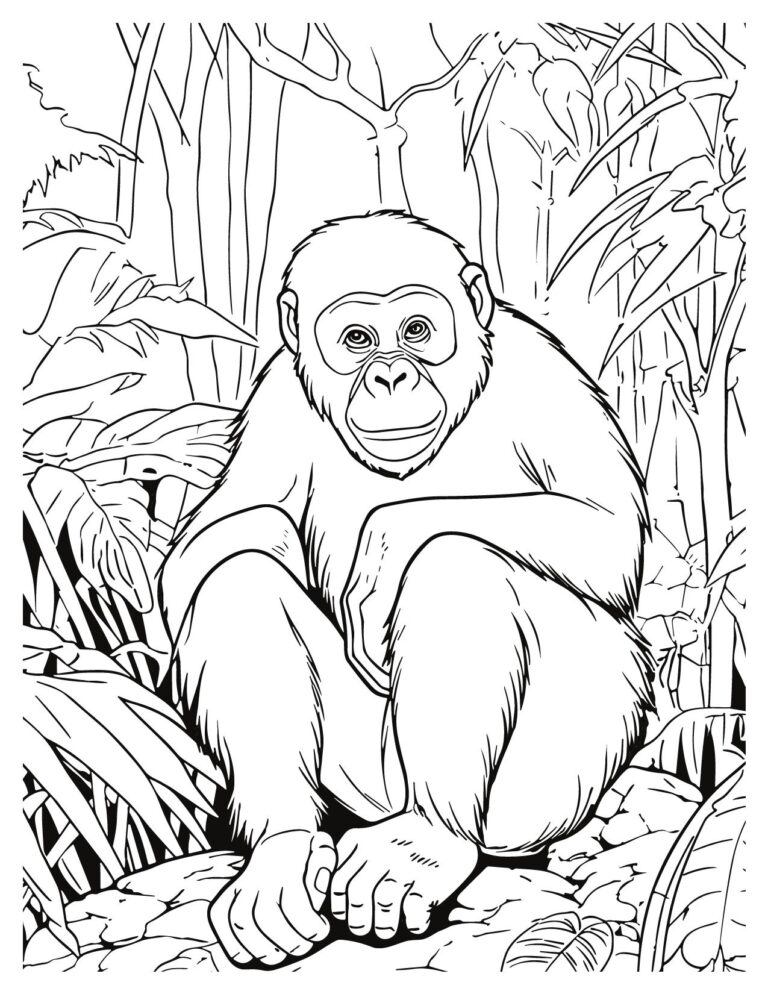 Zoo Adventures Coloring Pages | Dive Into Fun!