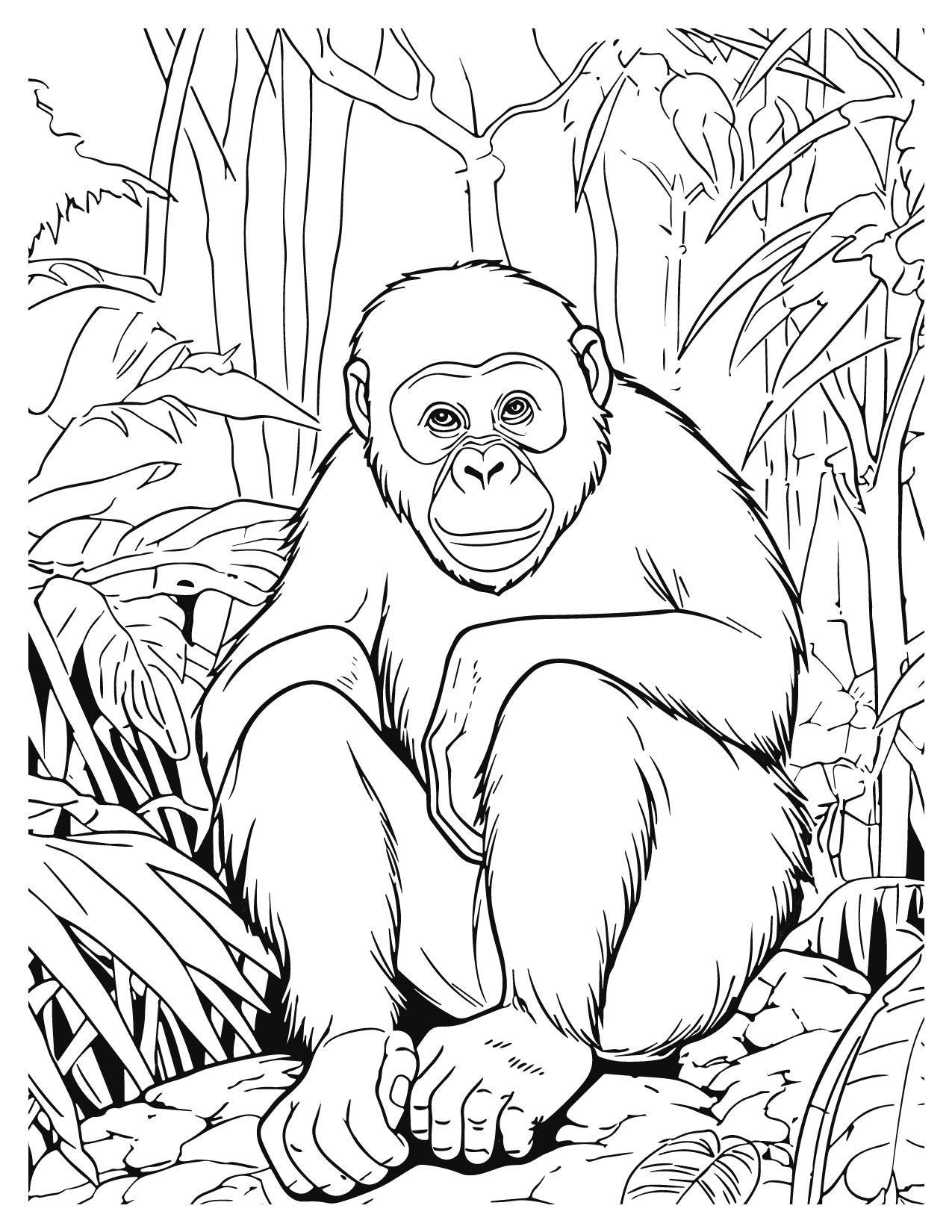Zoo Adventures Coloring Pages | Dive Into Fun!