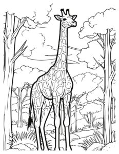 Zoo Adventures Coloring Pages | Dive Into Fun!