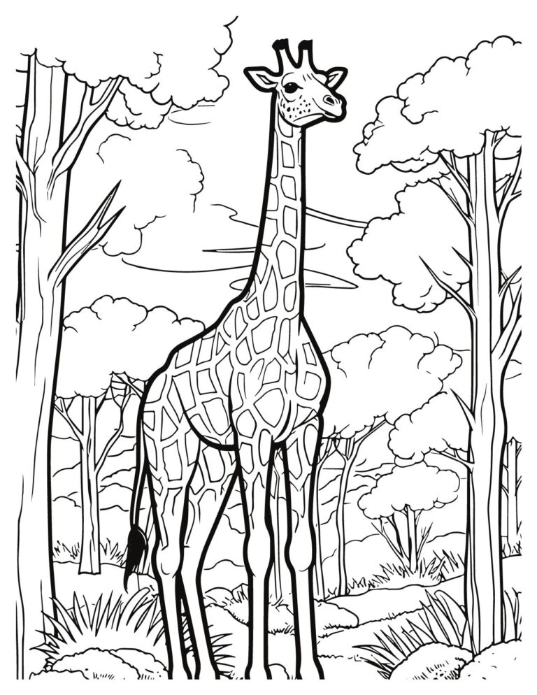 Zoo Adventures Coloring Pages | Dive Into Fun!