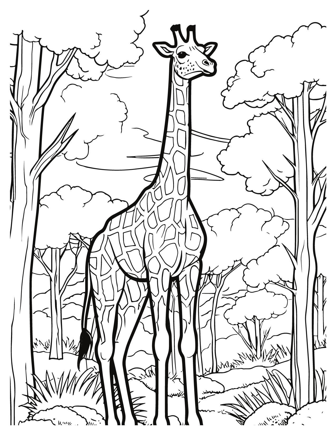 Zoo Adventures Coloring Pages | Dive Into Fun!