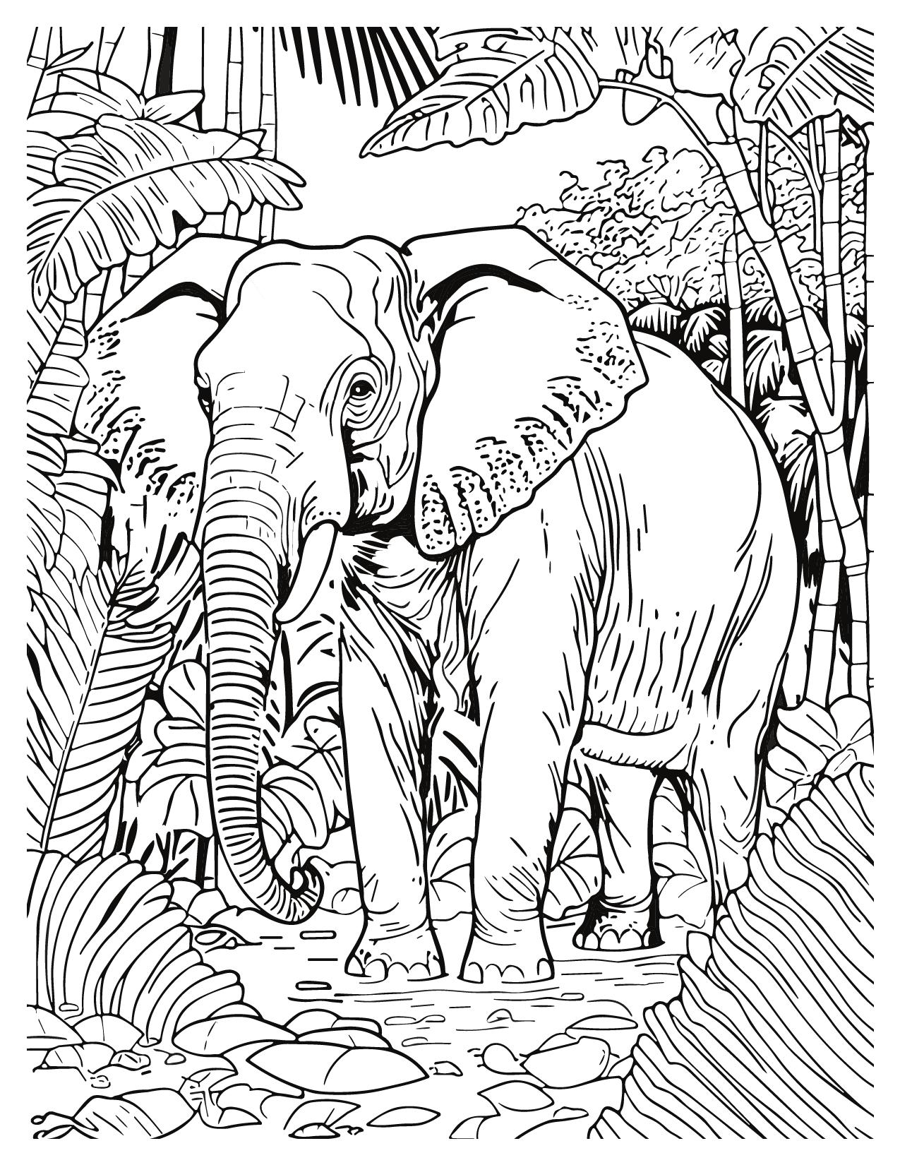 Zoo Adventures Coloring Pages | Dive Into Fun!