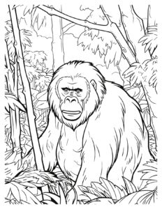 Zoo Adventures Coloring Pages | Dive Into Fun!