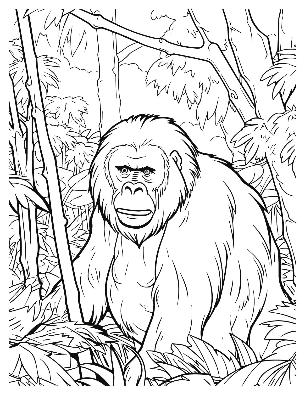Zoo Adventures Coloring Pages | Dive Into Fun!