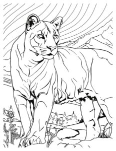 Zoo Adventures Coloring Pages | Dive Into Fun!