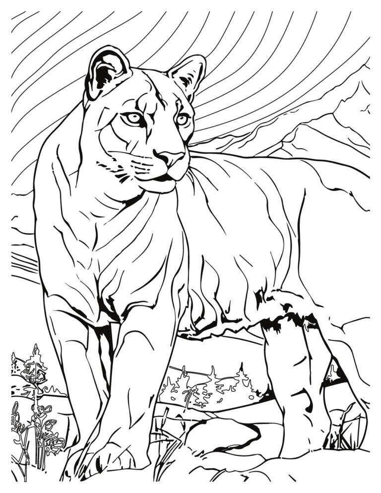 Zoo Adventures Coloring Pages | Dive Into Fun!