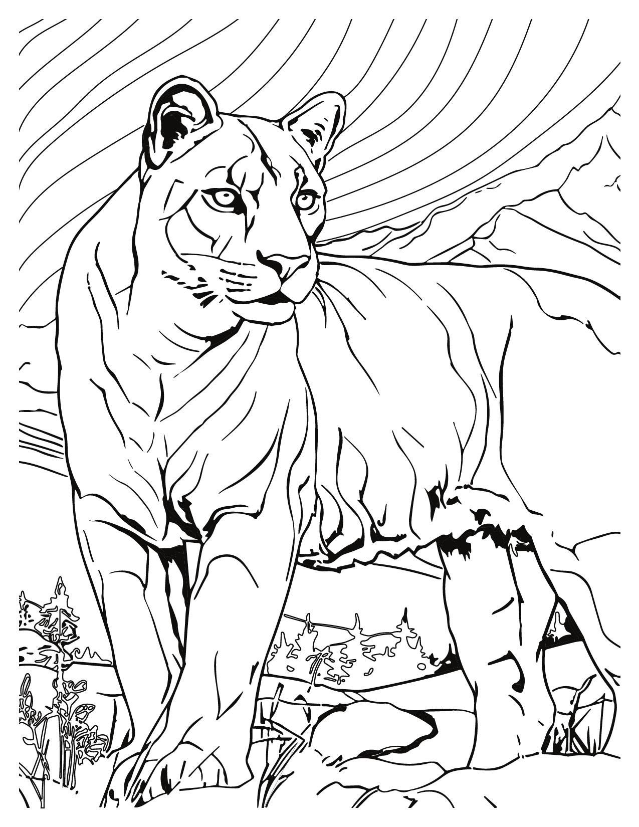 Zoo Adventures Coloring Pages | Dive Into Fun!