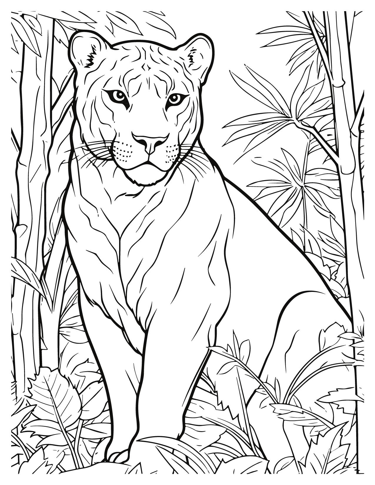 Zoo Adventures Coloring Pages | Dive Into Fun!