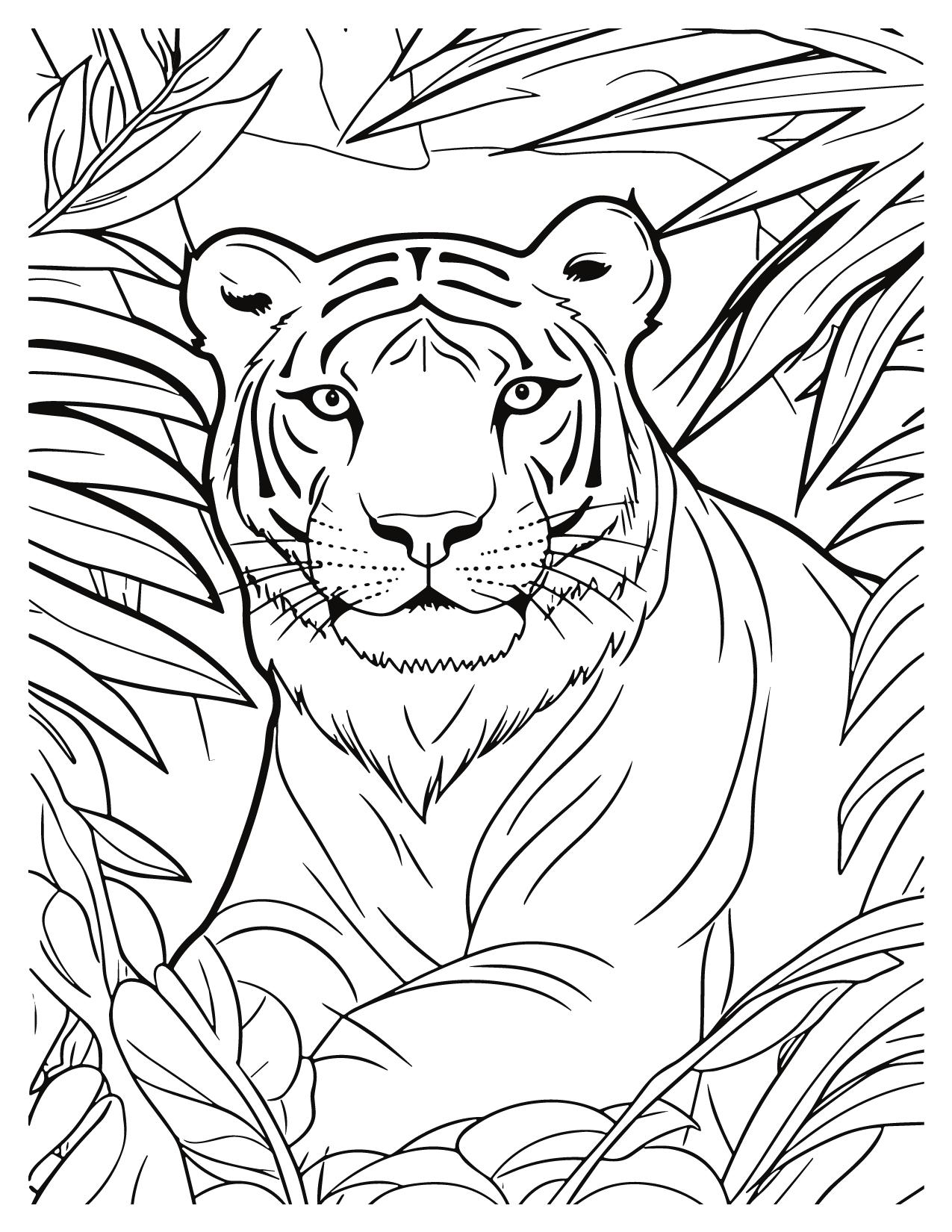 Zoo Adventures Coloring Pages | Dive Into Fun!