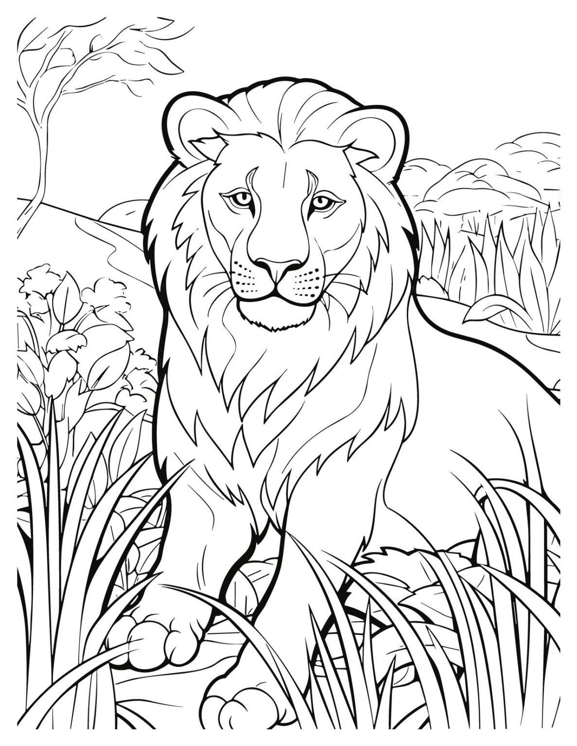 Zoo Adventures Coloring Pages | Dive Into Fun!
