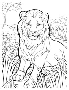 Zoo Adventures Coloring Pages | Dive Into Fun!