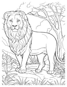Zoo Adventures Coloring Pages | Dive Into Fun!