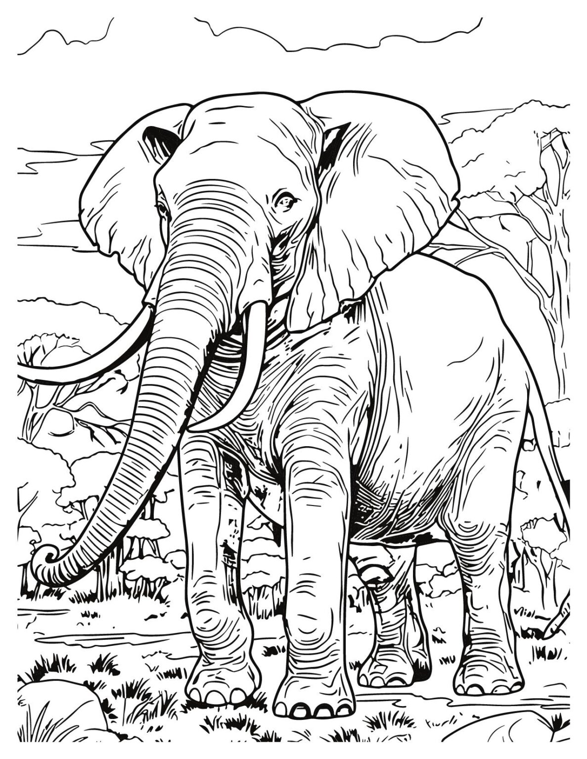 Zoo Adventures Coloring Pages | Dive Into Fun!