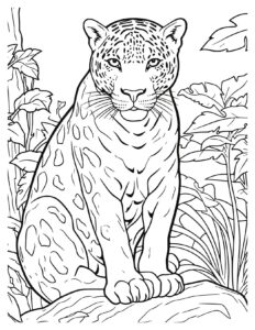 Zoo Adventures Coloring Pages | Dive Into Fun!