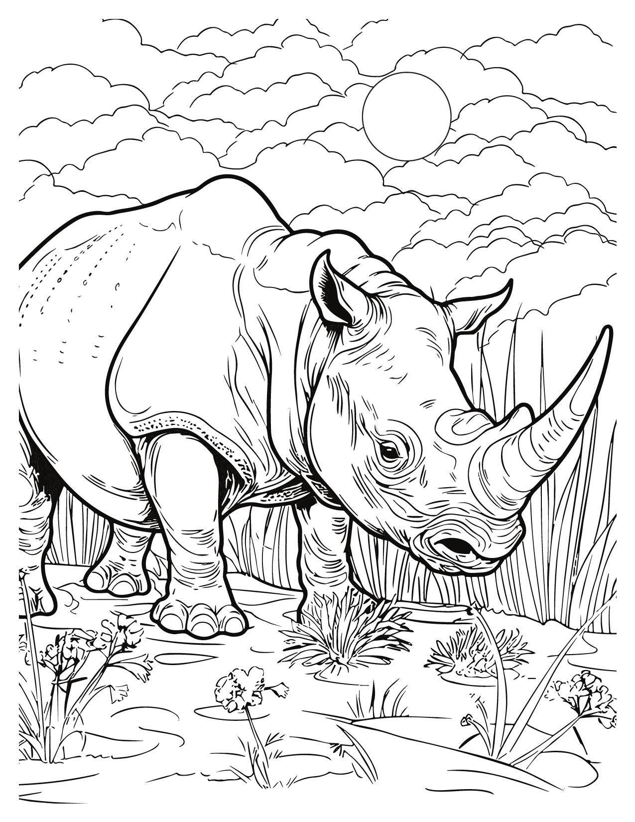 Zoo Adventures Coloring Pages | Dive Into Fun!