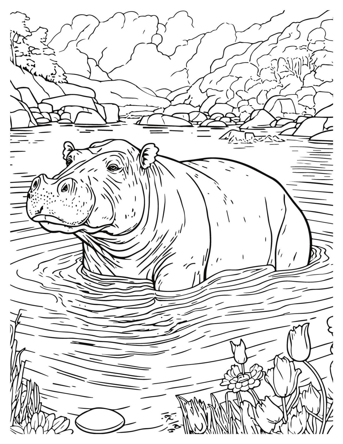 Zoo Adventures Coloring Pages | Dive Into Fun!