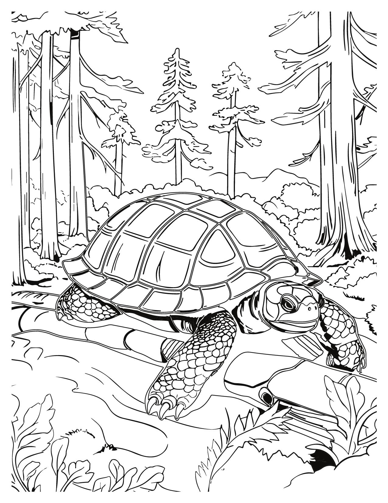 Zoo Adventures Coloring Pages | Dive Into Fun!