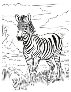 Zoo Adventures Coloring Pages | Dive Into Fun!