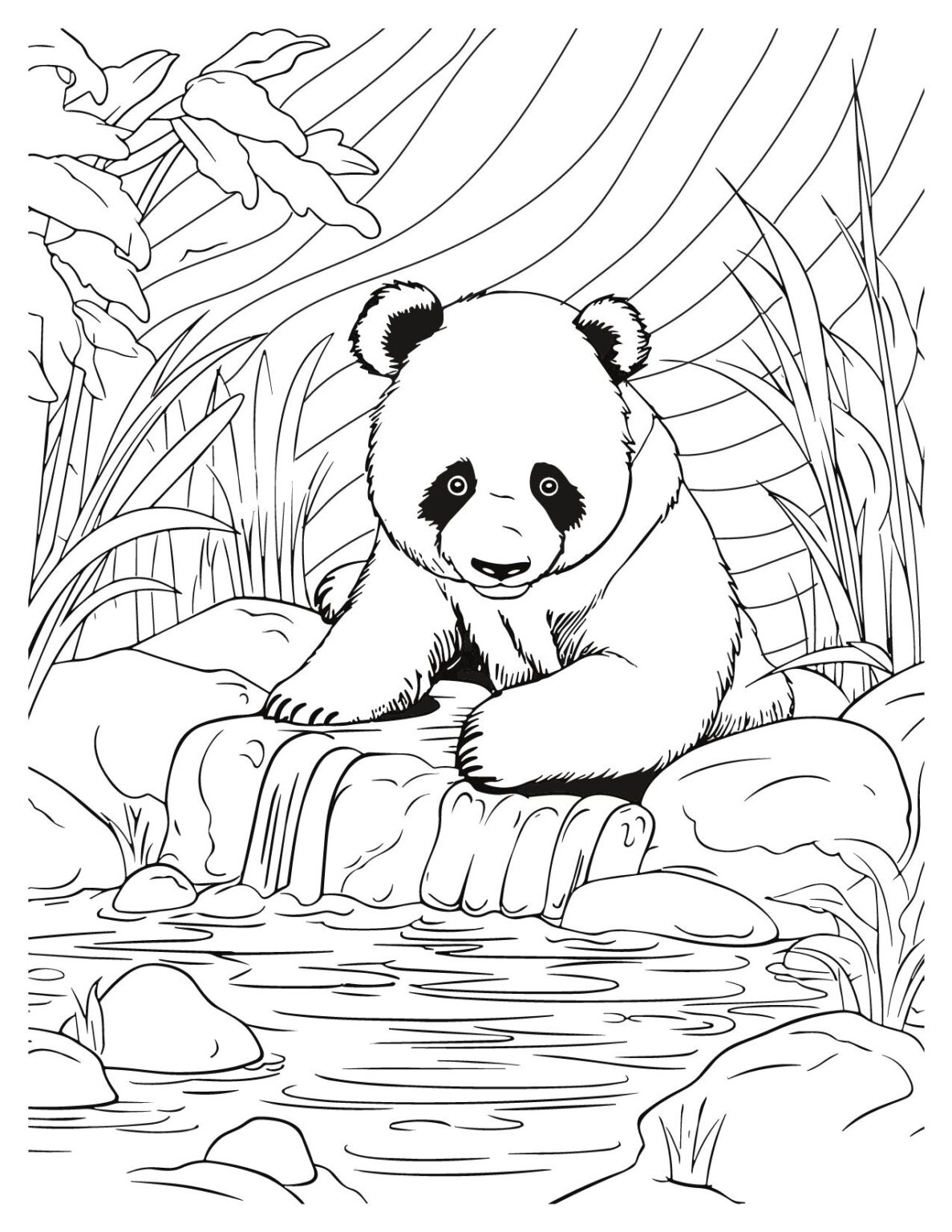 Zoo Adventures Coloring Pages | Dive Into Fun!