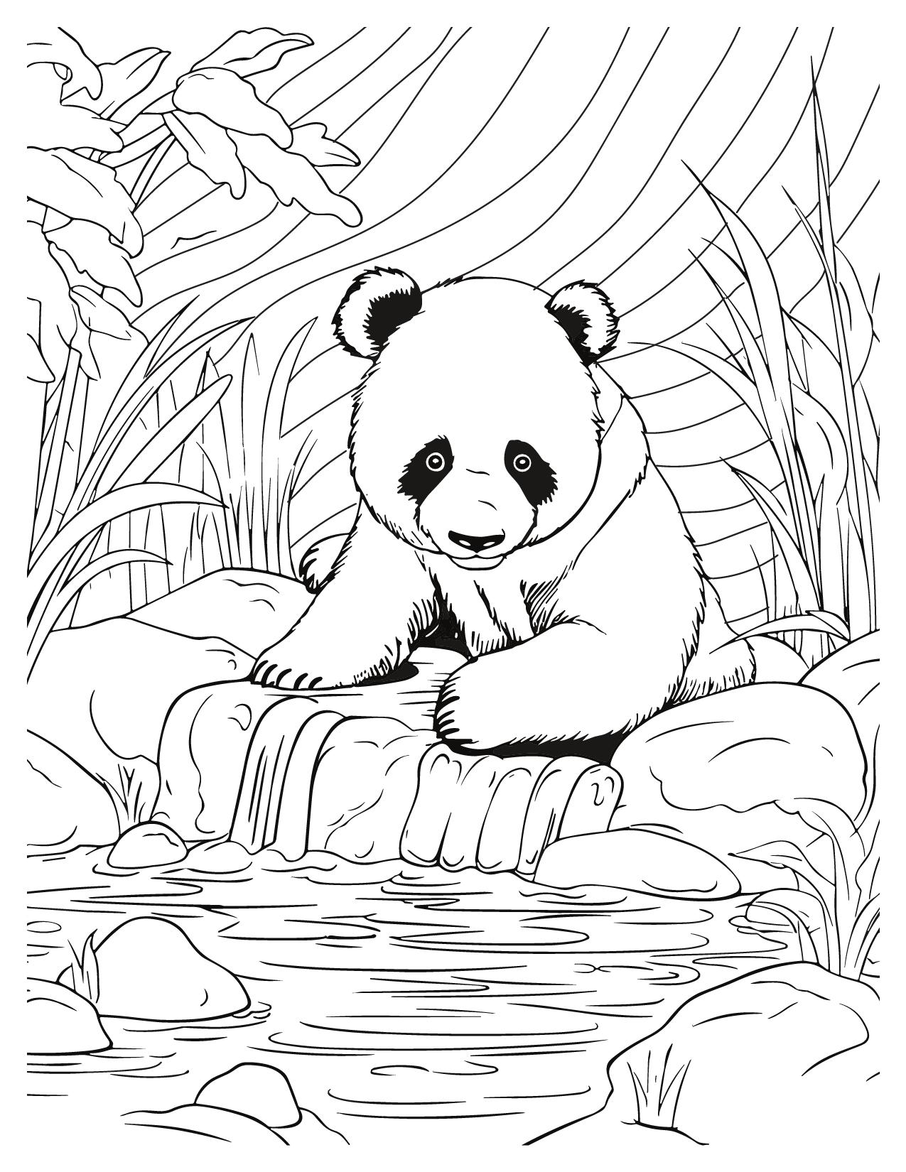 Zoo Adventures Coloring Pages | Dive Into Fun!