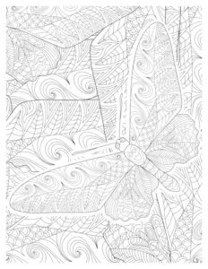 Whimsical Butterfly Coloring Pages - Artistic Inspiration Awaits