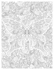 Whimsical Butterfly Coloring Pages - Artistic Inspiration Awaits