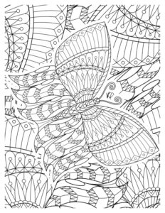 Whimsical Butterfly Coloring Pages - Artistic Inspiration Awaits