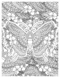 Whimsical Butterfly Coloring Pages - Artistic Inspiration Awaits