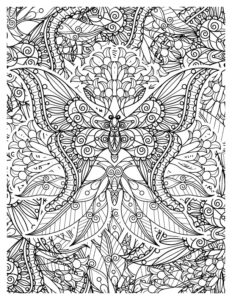 Whimsical Butterfly Coloring Pages - Artistic Inspiration Awaits